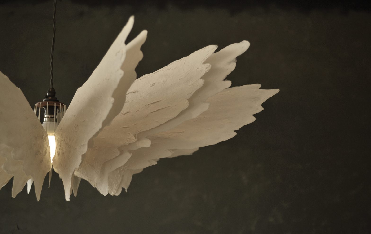 Icarus – Design Spectrum | 設計光譜