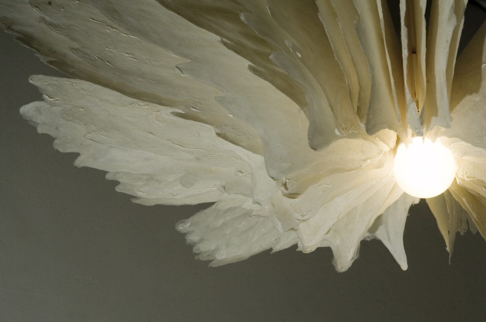 Icarus – Design Spectrum | 設計光譜