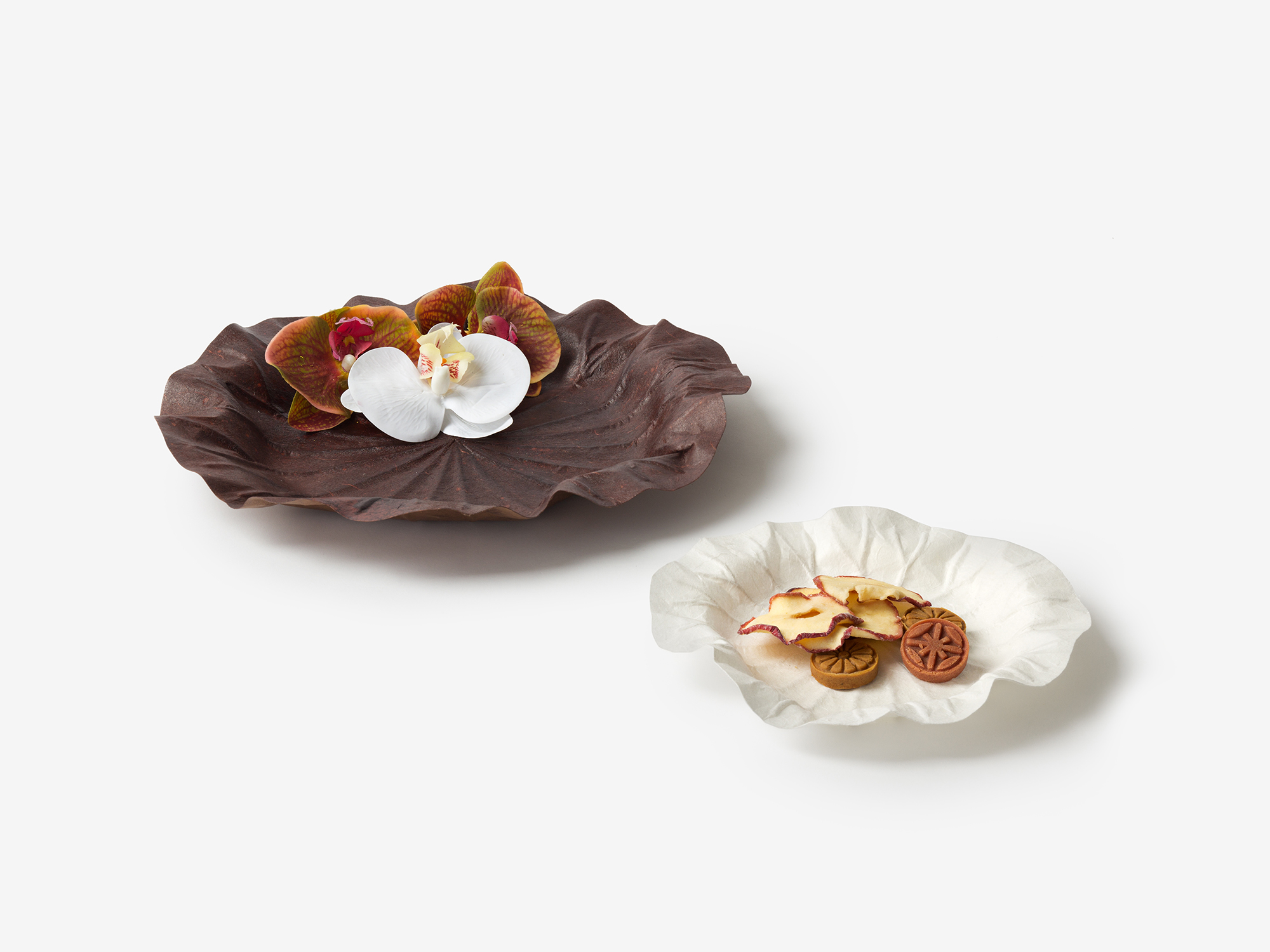 lotus setting1 – Design Spectrum | 設計光譜