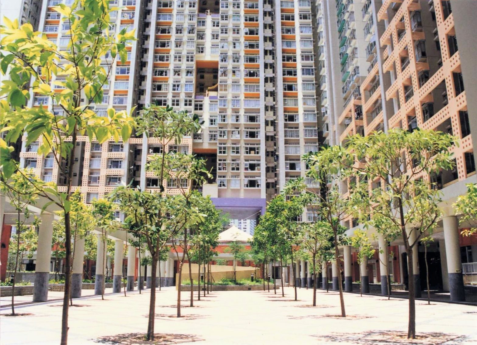 Verbena Heights – Design Spectrum | 設計光譜